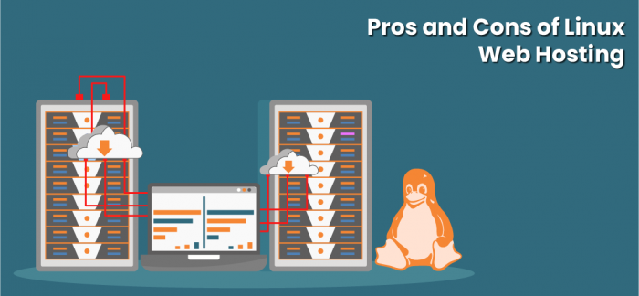 Pros and cons of Linux web hosting UK - The Email Shop