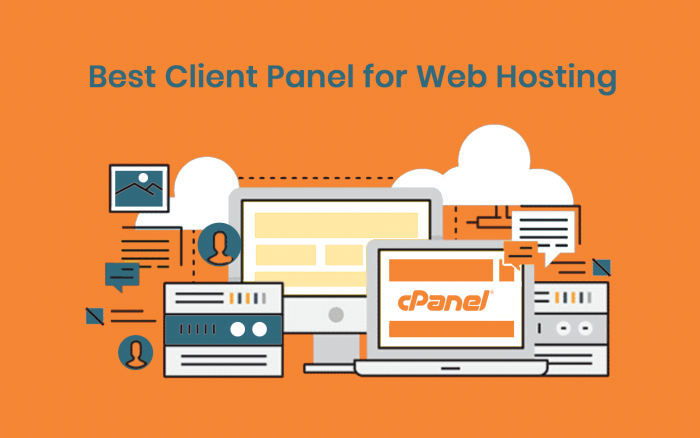 Best Client Panel for Web Hosting: Benefits and Features 2020