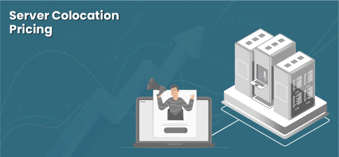 SERVER COLOCATION PRICING UK: UNDERSTAND YOUR OPTIONS