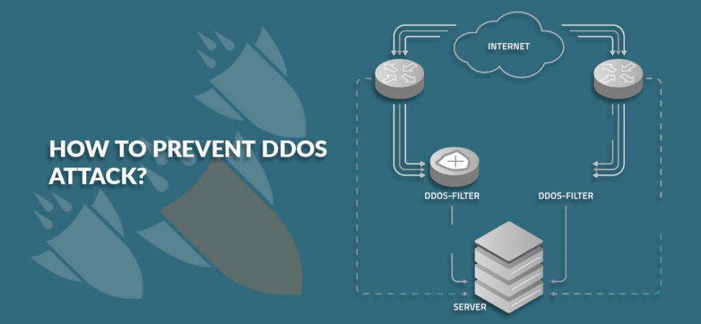 Learn 5 proven tips on how to prevent DDoS attacks