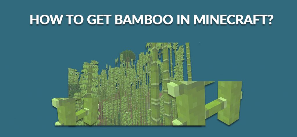 How to get bamboo in Minecraft? How to grow bamboo in Minecraft?