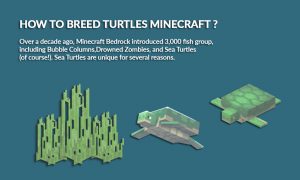 How to get seagrass in Minecraft? How to Breed Turtles in Minecraft