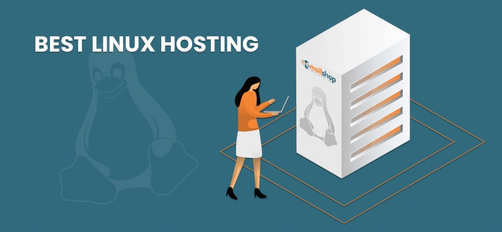 How to Find the Best Linux Hosting? A Detailed Tutorial of the Venture