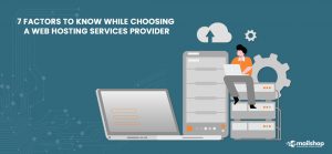 Hosting Services Provider: 7 Important Factors To Consider